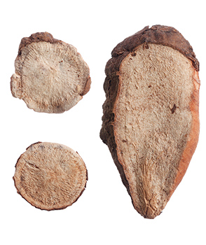 Eu Yan Sang International