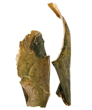 Eu Yan Sang International