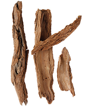 Eu Yan Sang International