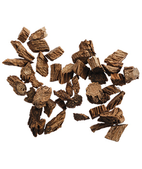 Himalayan Teasel Root